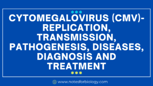 Cytomegalovirus (CMV)-Replication, Transmission, Pathogenesis, Diseases ...
