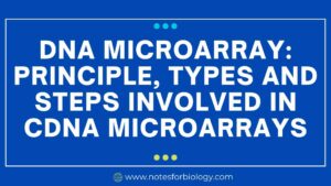 DNA Microarray: Principle, Types and steps involved