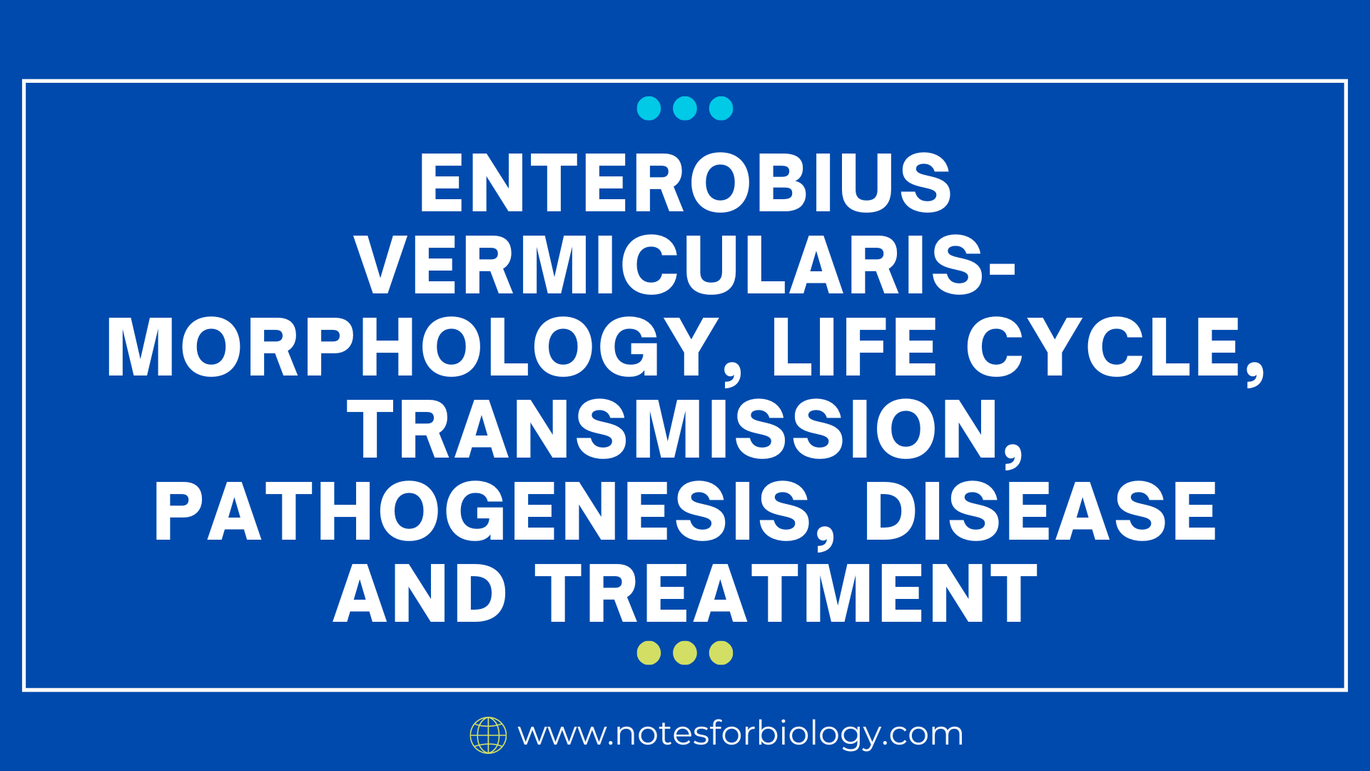 Enterobius vermicularis- Morphology, Life cycle,...