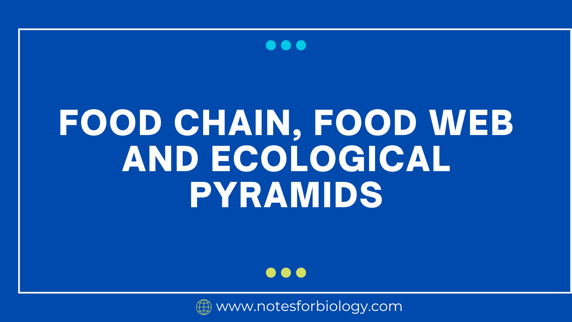 Food chain, food web and ecological pyramids