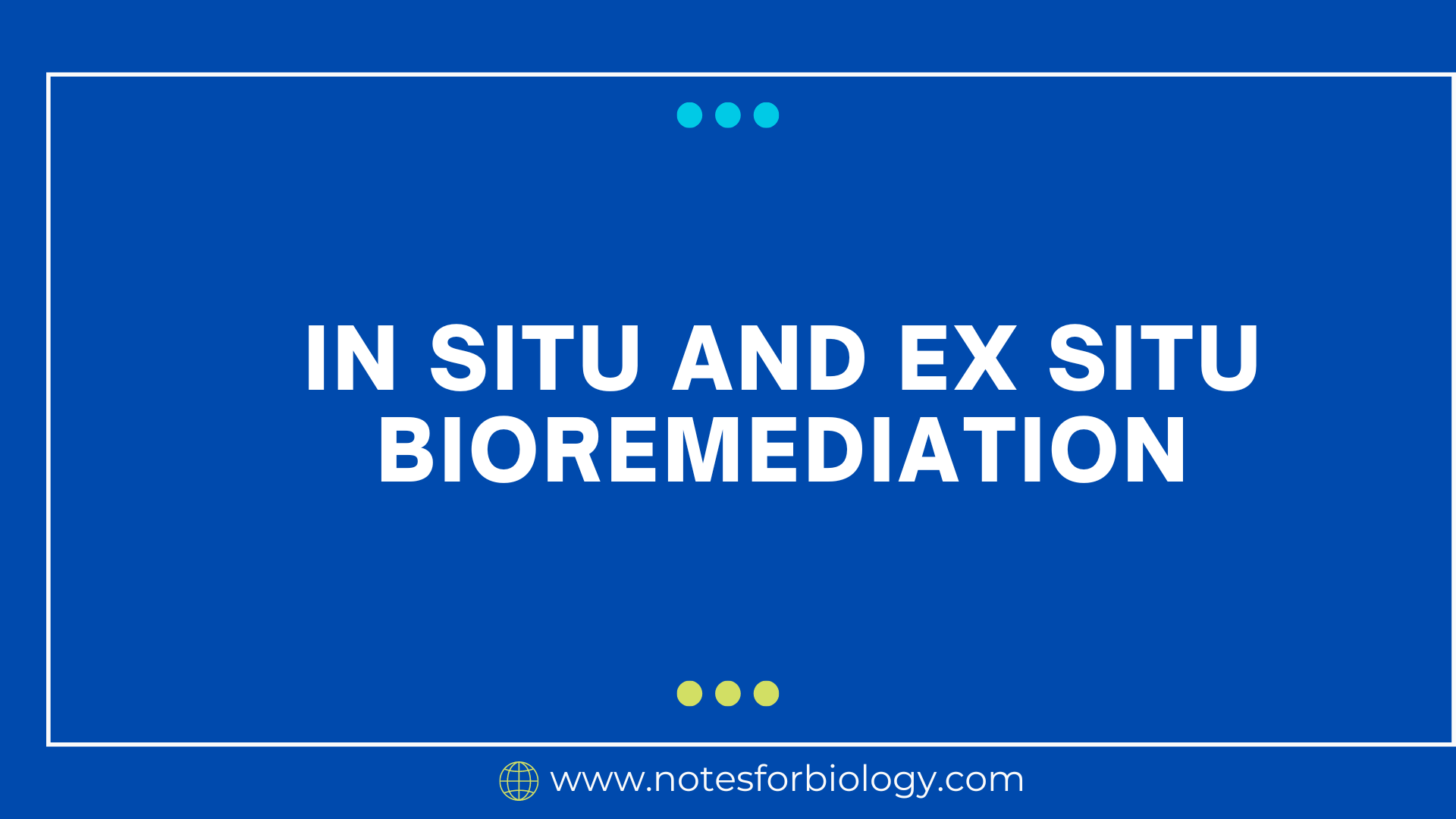 Bioremediation of In situ and Ex situ - Best Biology Notes