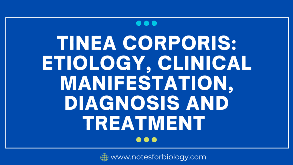 Tinea corporis: etiology, clinical manifestation, diagnosis