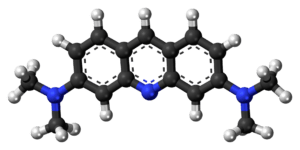 Acridine orange staining: principle, requirements,...
