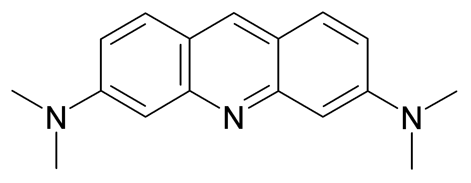 Acridine orange staining: principle, requirements,... Acridine orange staining: principle, requirements,...