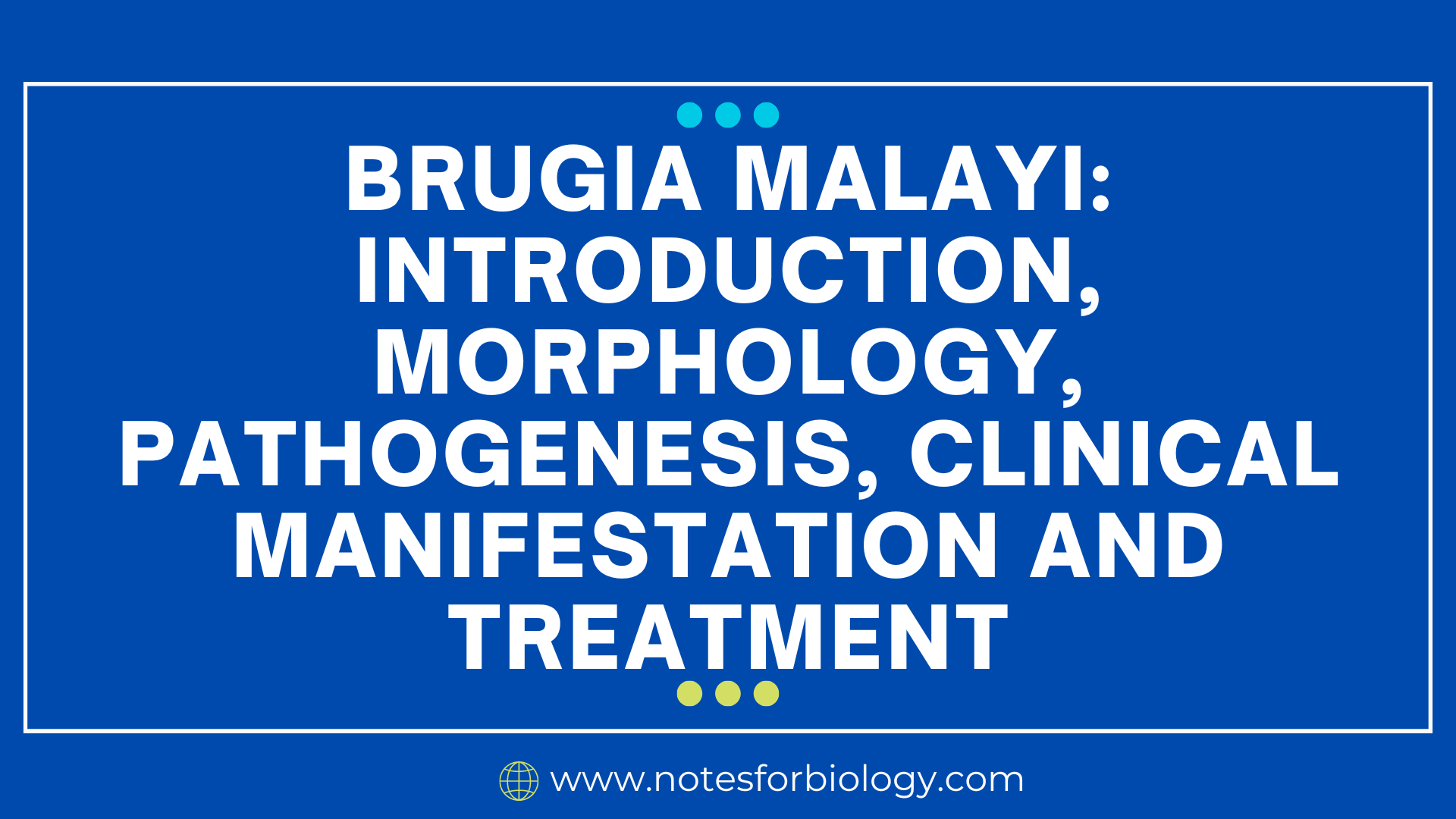 Brugia malayi: Introduction, Morphology, Pathogenesis,...
