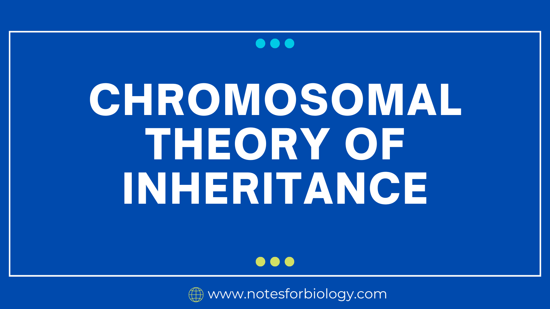 Chromosomal theory of inheritance - Best Biology Notes,...