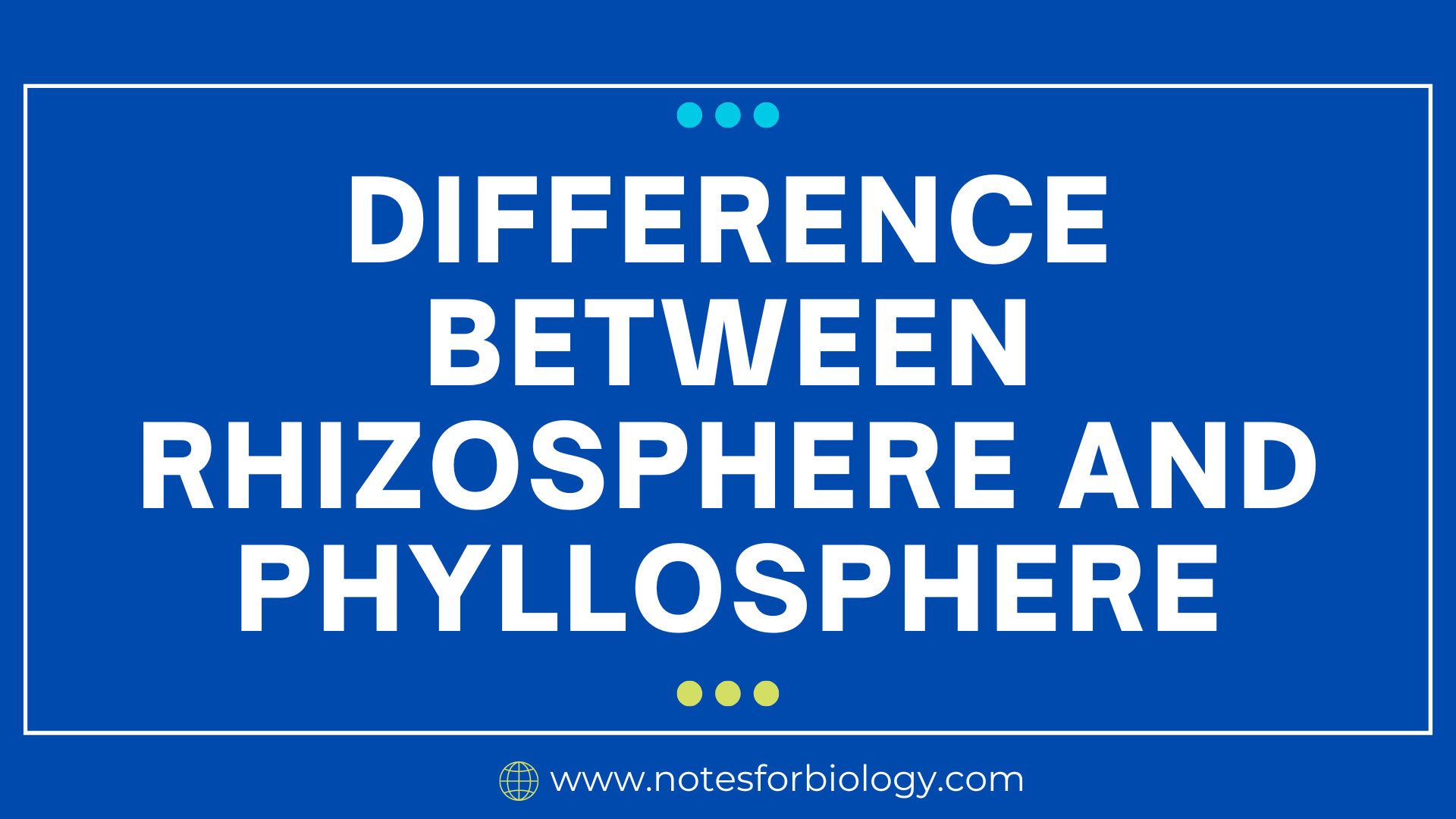 Rhizosphere and Phyllosphere Differences - Best Biology