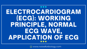 Electrocardiogram (ECG): working principle, normal ECG...