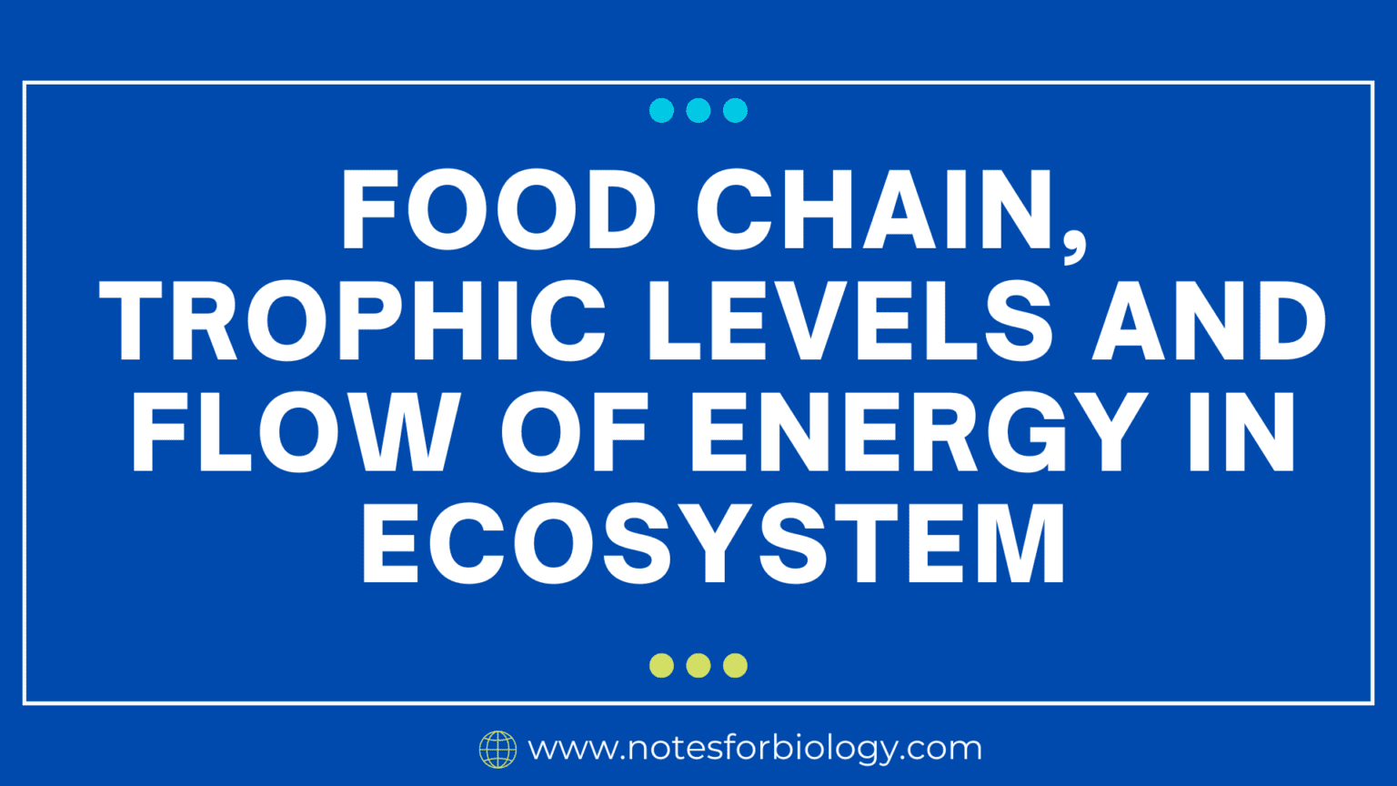 Food chain, food web and ecological pyramids