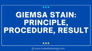 Giemsa stain: Principle, procedure, result - Best Biology...