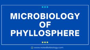 Phyllosphere Microbiology - Best Biology Notes,...