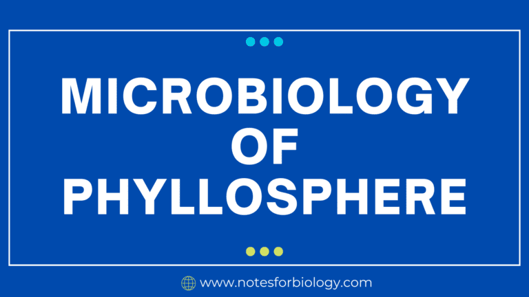 Phyllosphere Microbiology - Best Biology Notes,...