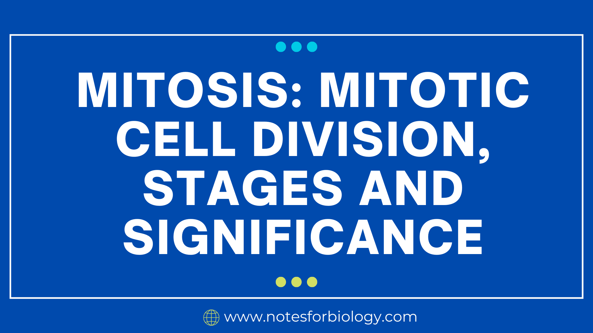 Mitosis: mitotic cell division, stages and significance