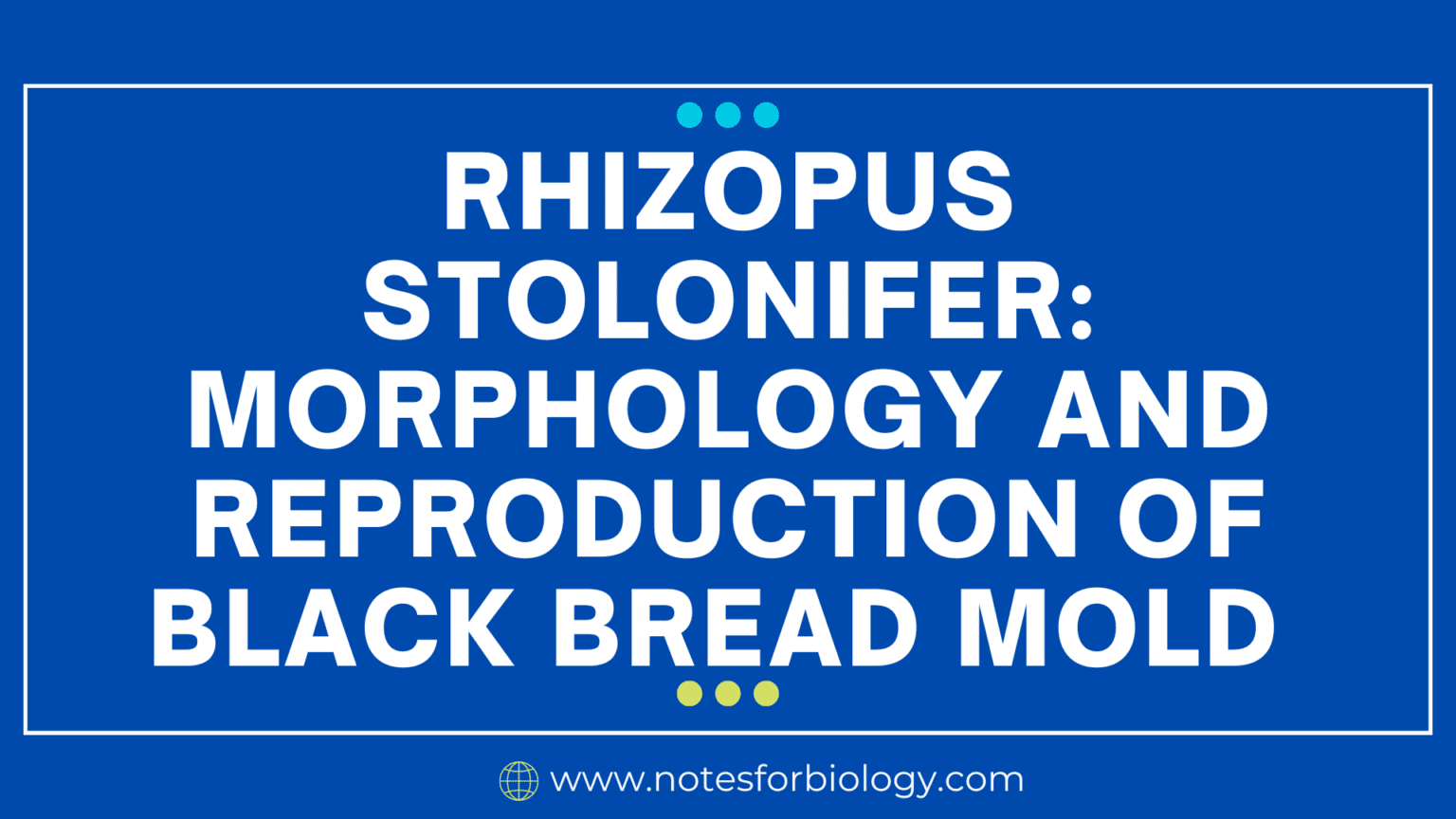 Corynebacterium diphtheriae: morphology, characteristics