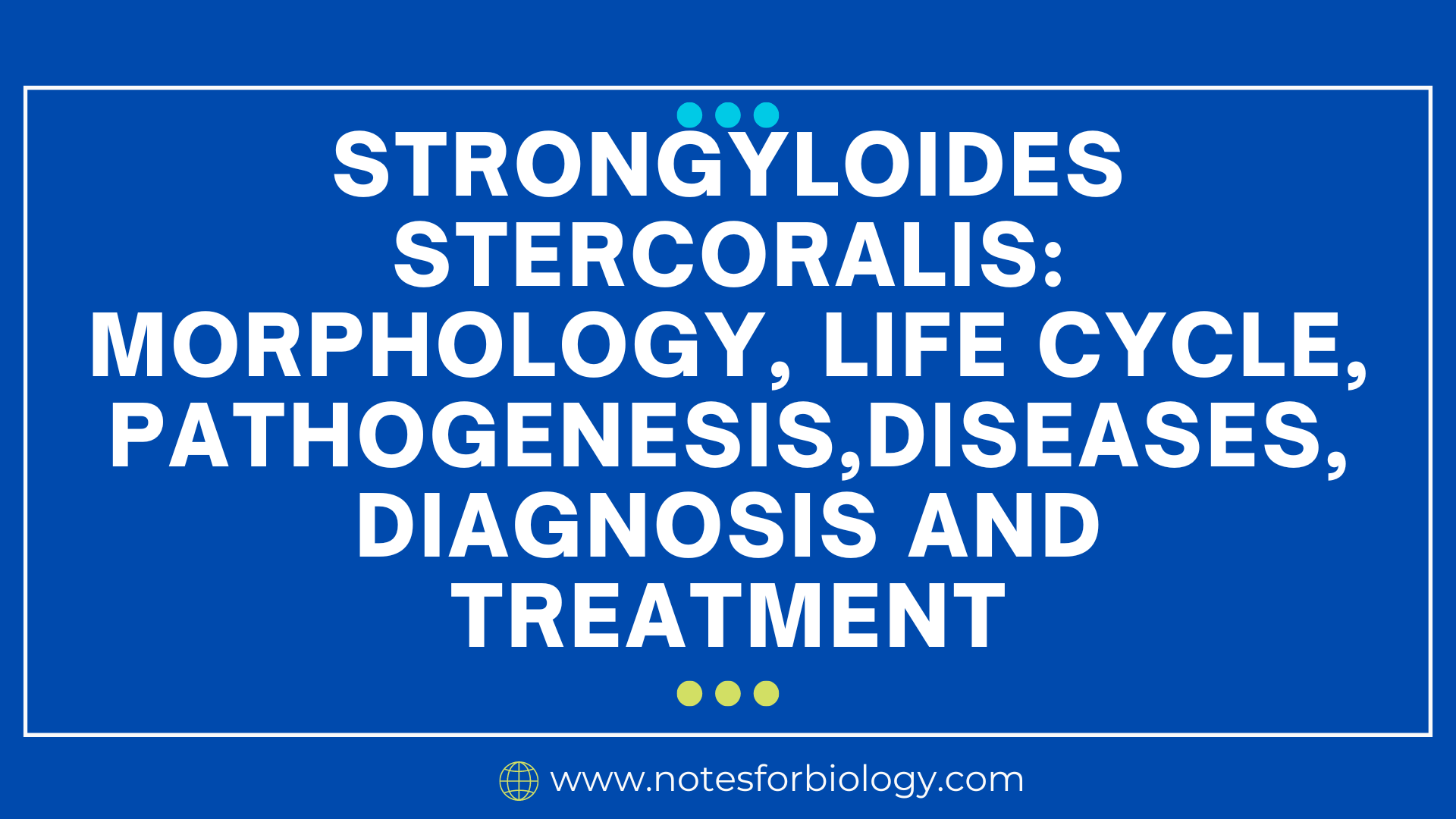 Strongyloides stercoralis: morphology, life cycle,...