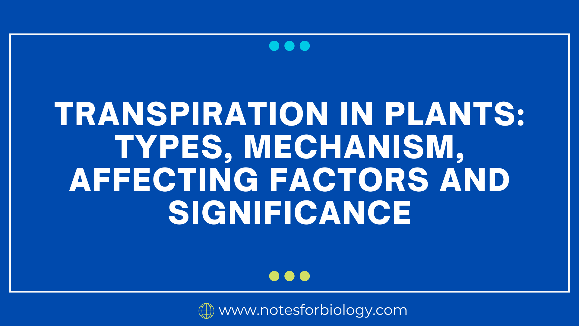 Transpiration in plants: Types, Mechanism