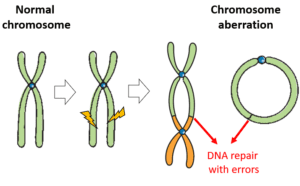 chromosomal aberration Numerical/ Chromosomal genomatic...