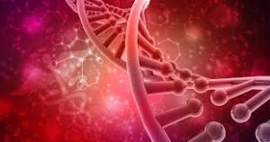 Disorders/diseases caused by deficiency or over secretion...