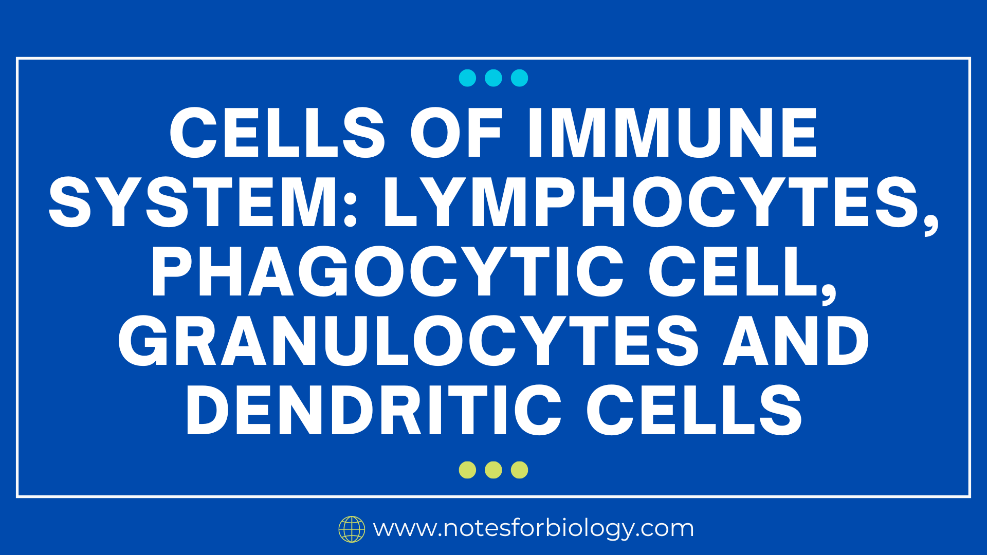 Immune system cells: Lymphocytes, phagocytic cell,