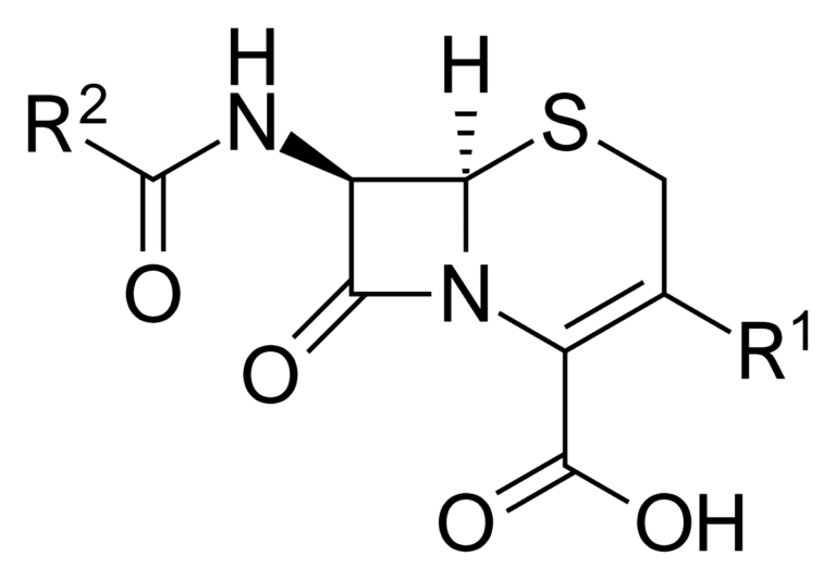 Cephalosporin: structure, classification, clinical use... Cephalosporin: structure, classification, clinical use...