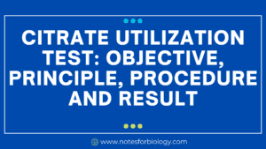 Citrate utilization test: objective, principle, procedure...