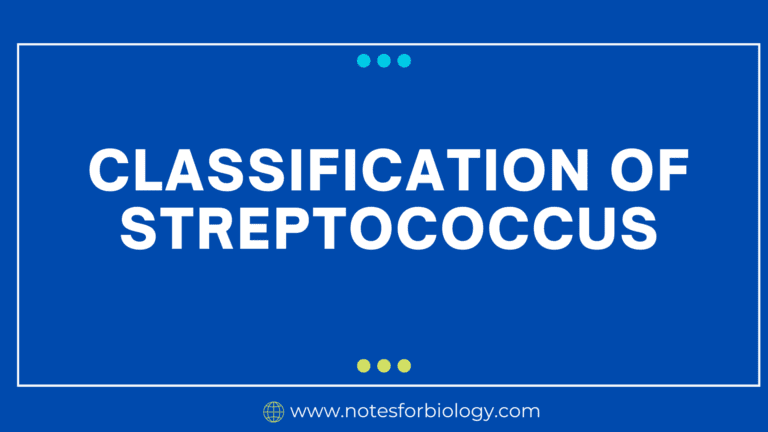 Streptococcus Classification - Best Biology Notes,...