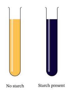 specific carbohydrates Tests : Seliwanoff’s test, Bial’s