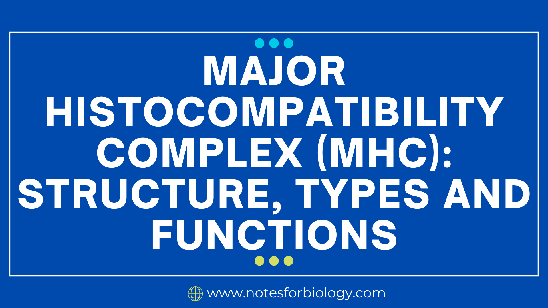 Major histocompatibility complex (MHC): structure, types...