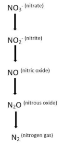 Nitrate reduction test: Objective, Principle, Procedure...