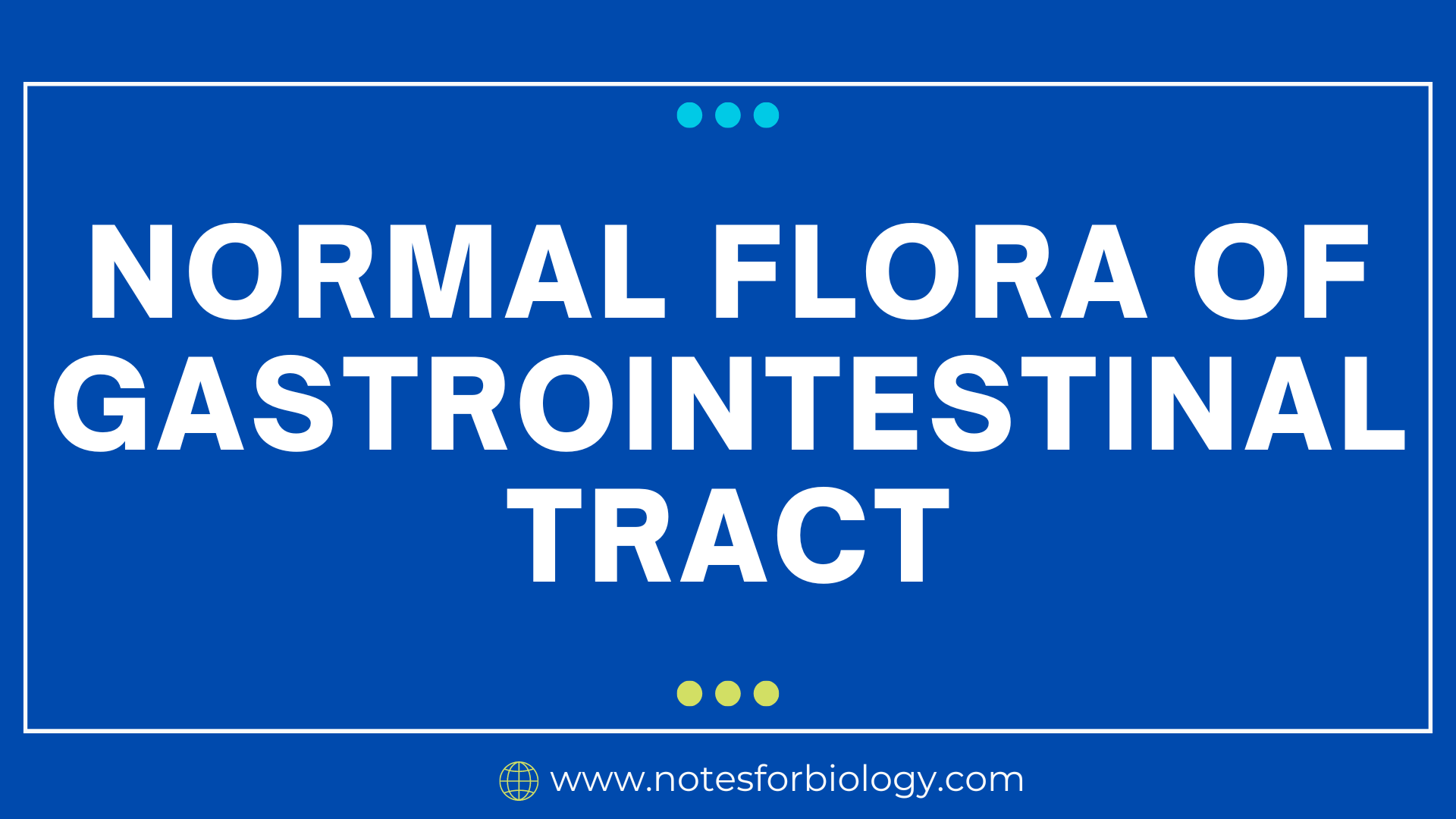 Gastrointestinal Tract, Normal flora Gastrointestinal Tract, Normal flora