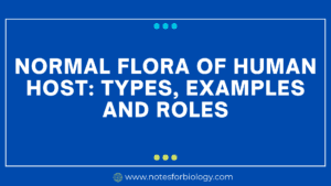 Normal flora of human host: Types, Examples and Roles