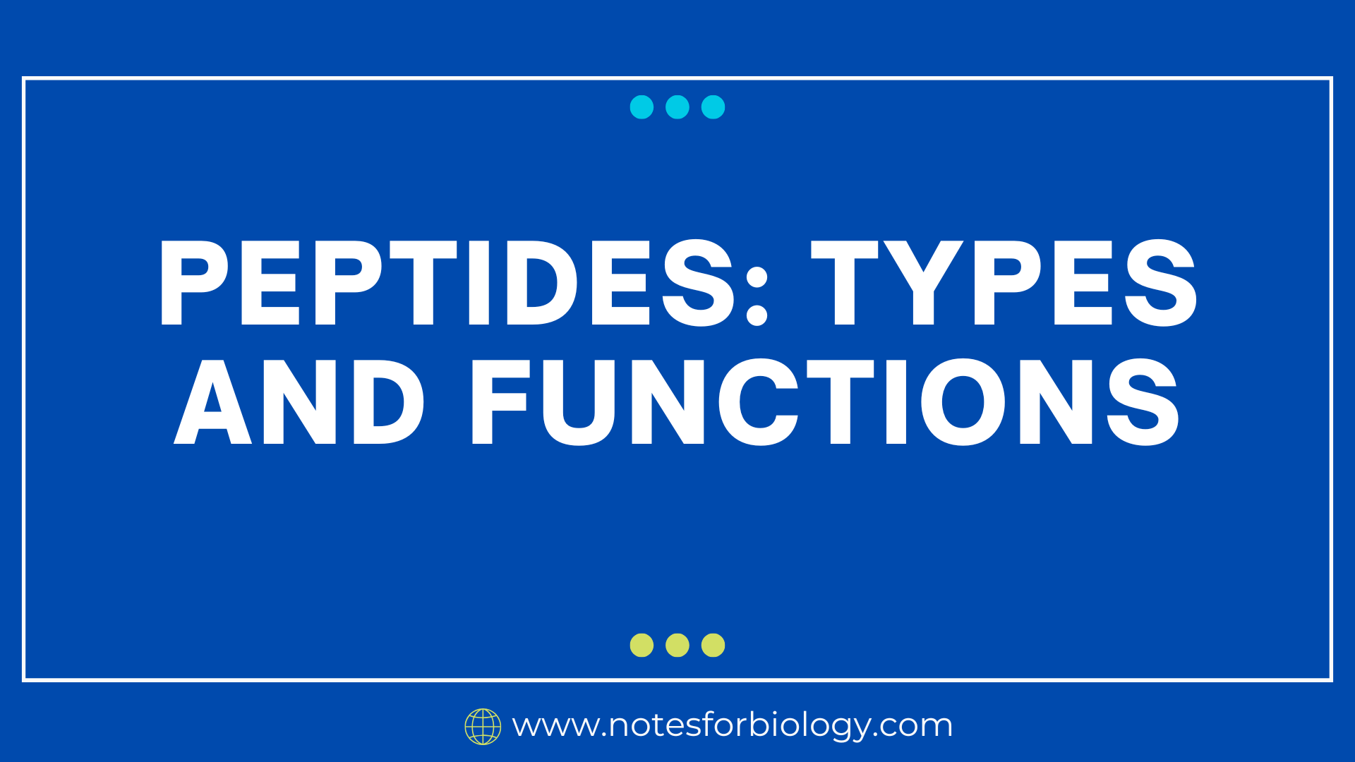 Peptides: Types and functions - Best Biology Notes,...
