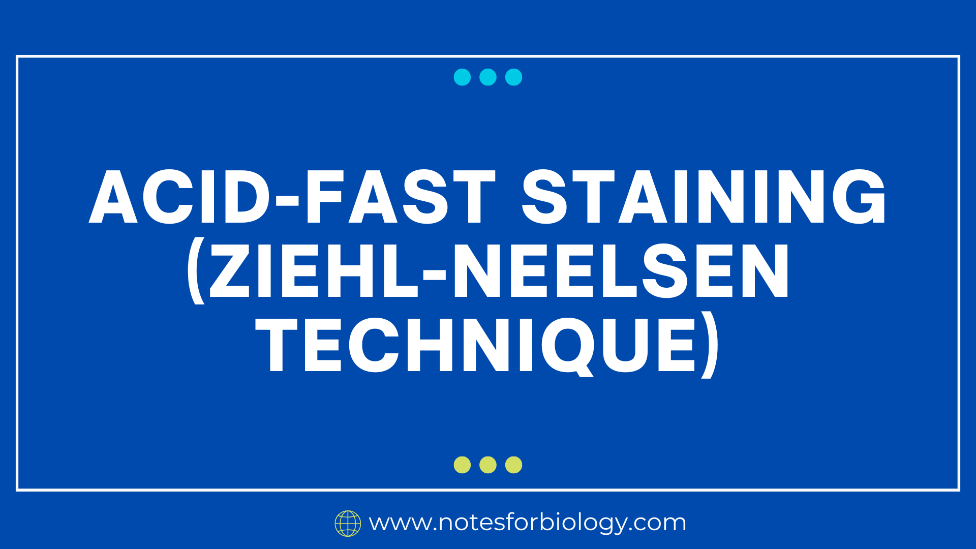 Acid-Fast Staining (Ziehl-Neelsen Technique) - Best Biology