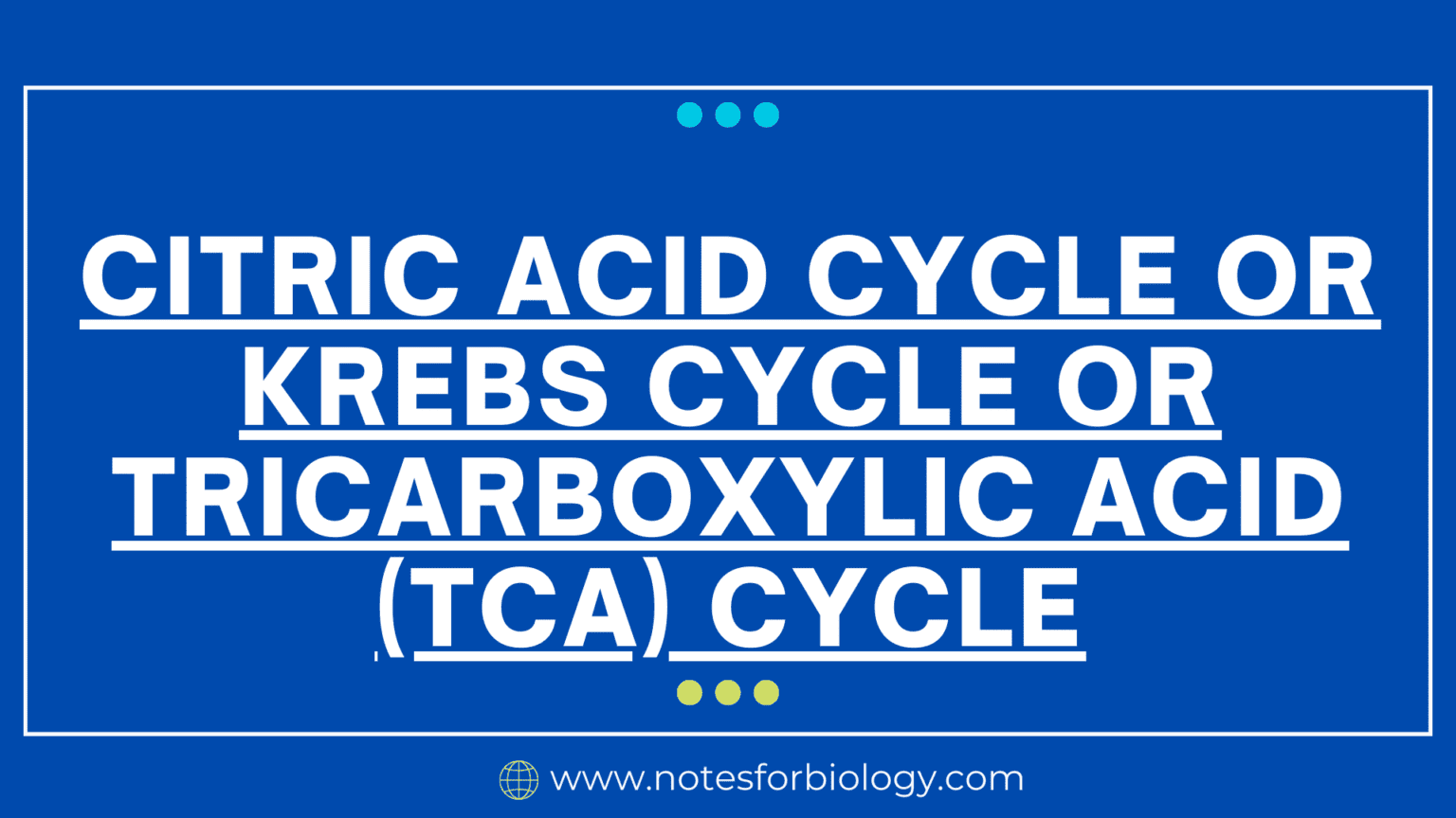 Citric acid cycle or Krebs cycle or TCA - Best Biology Notes