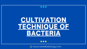 Cultivation technique of bacteria - Best Biological Notes