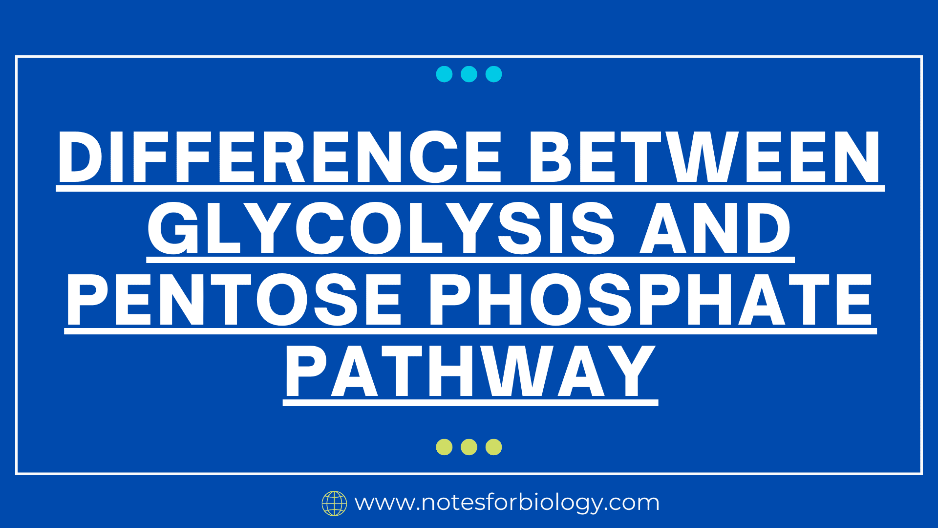 Glycolysis and Pentose Phosphate Pathway - Best biology note
