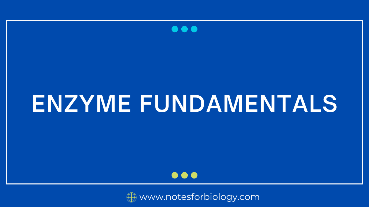 Enzyme Fundamentals - Best Biochemistry Notes