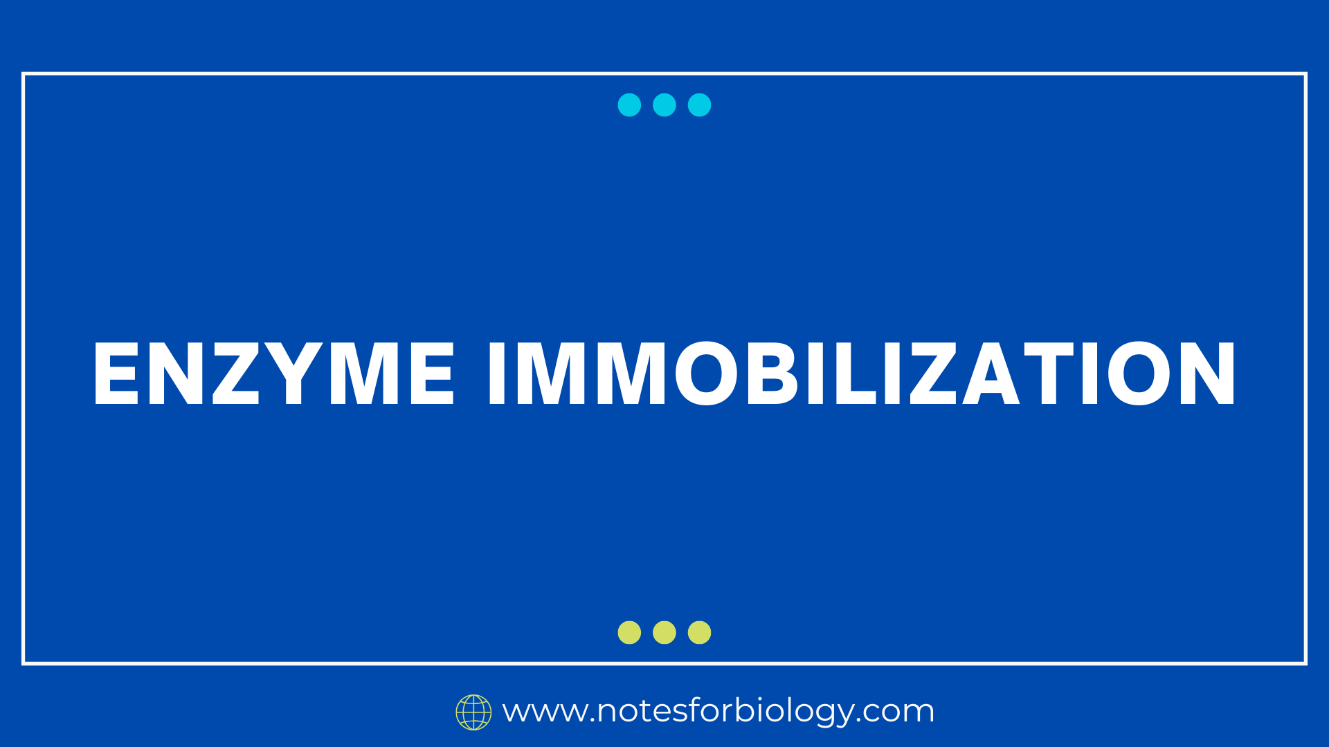 Enzyme Immobilization - Best Biochemistry Notes