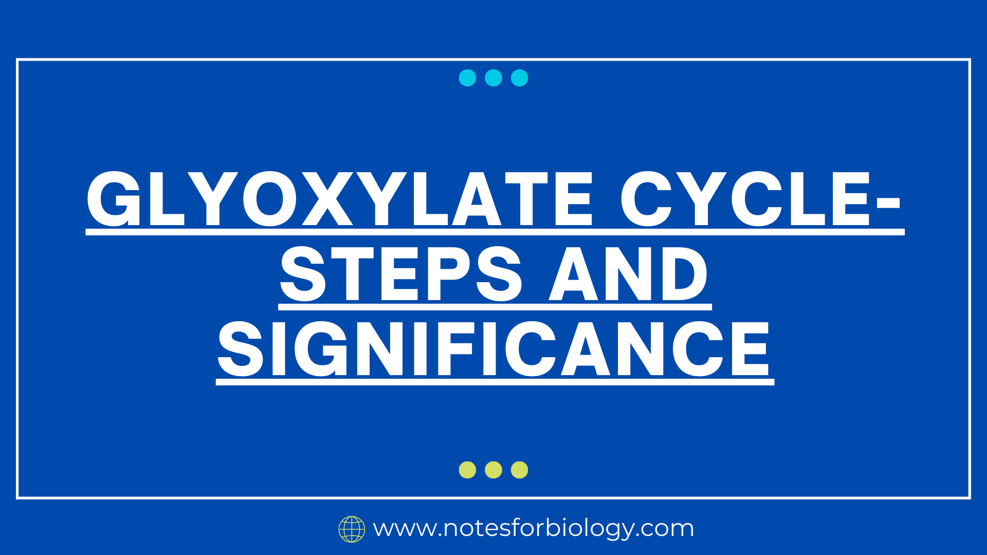 Glyoxylate cycle-steps and significance - Best Biology Notes Glyoxylate cycle-steps and significance - Best Biology Notes