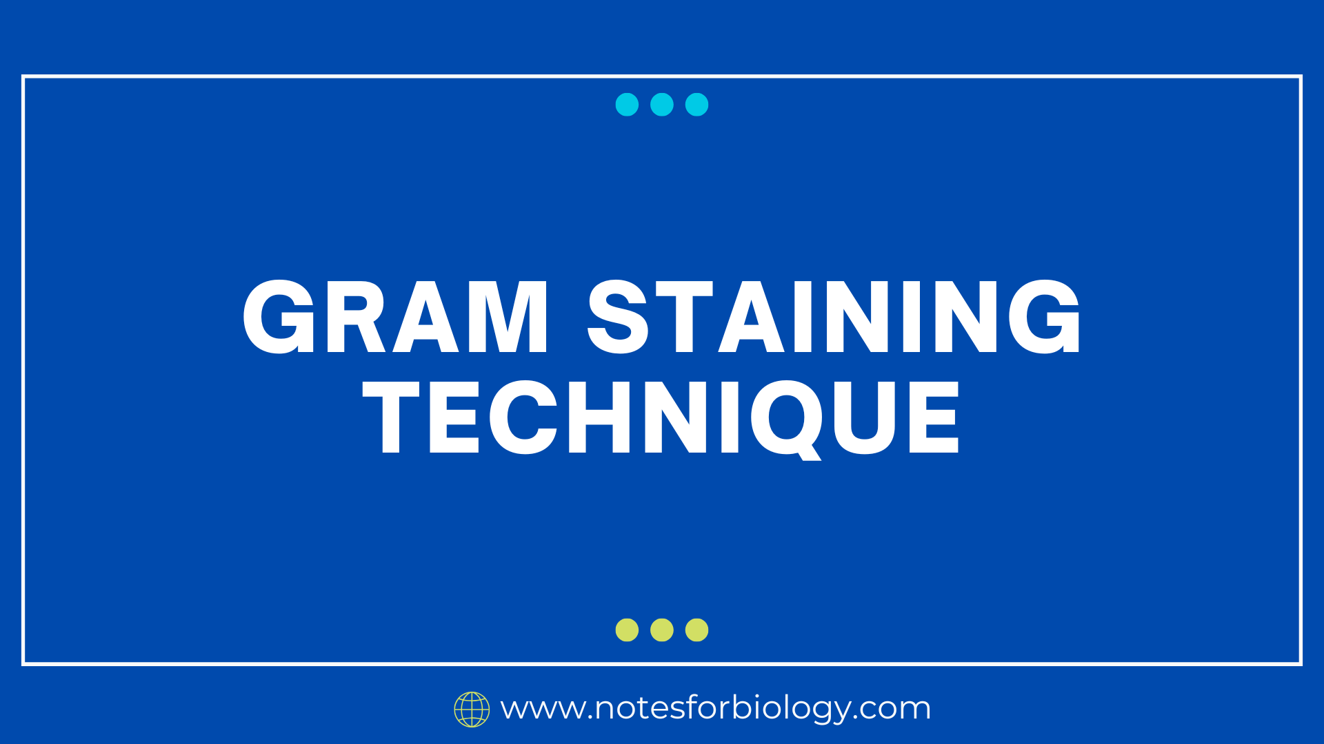 Gram Staining Technique- Best Biology Notes