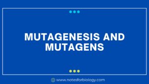 Mutagenesis and Mutagens - Best Biology Notes, Reference,...