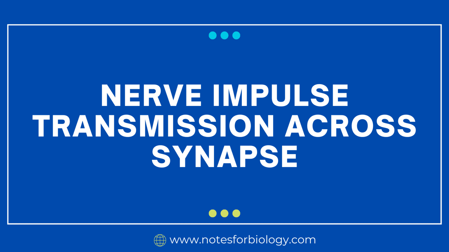 Nerve Impulse Transmission across Synapse- best notes