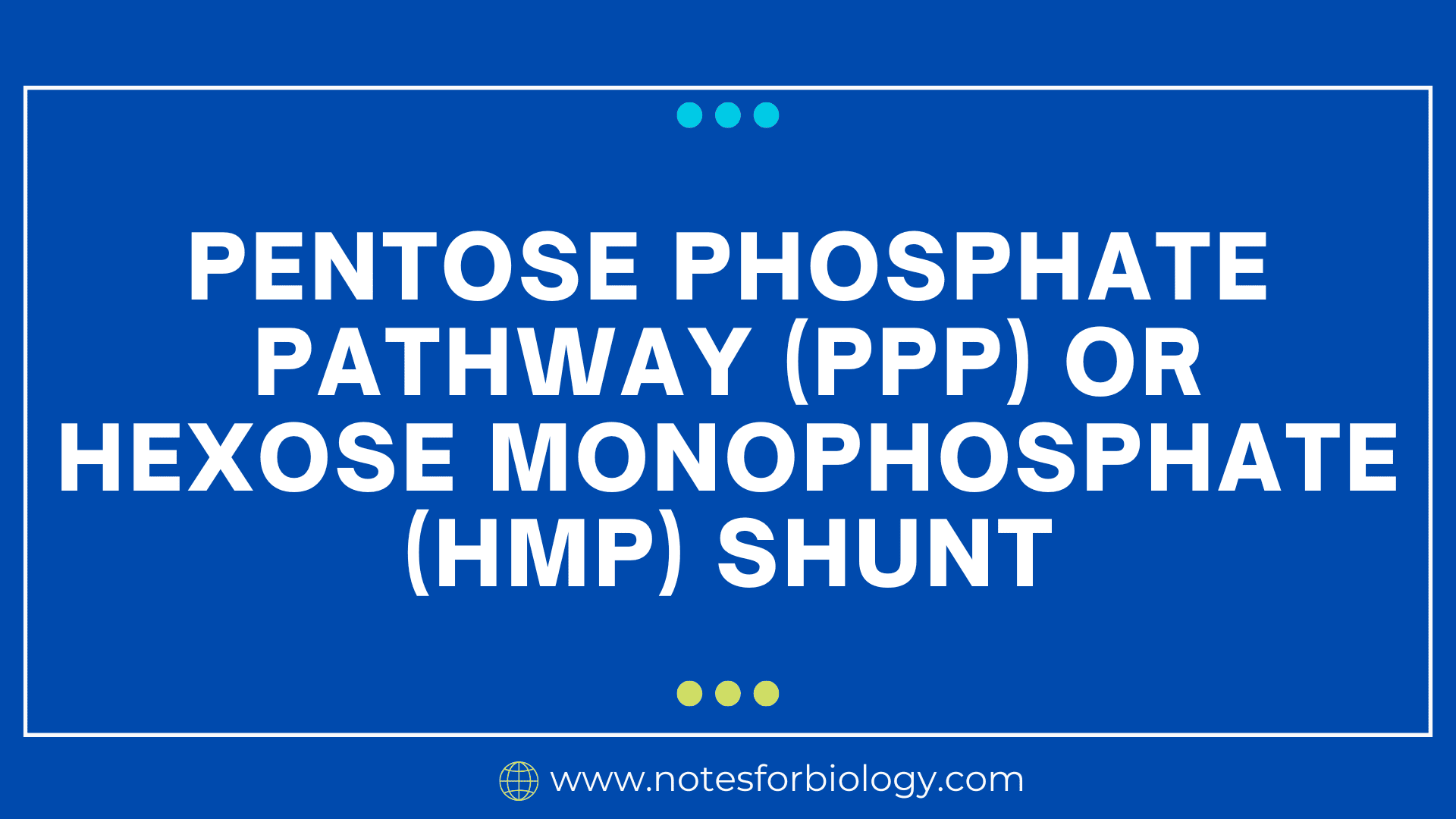 Pentose phosphate pathway (PPP) - Best Biological Notes
