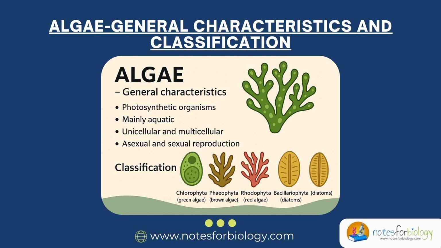 Algae-General characteristics and Classification Best Notes
