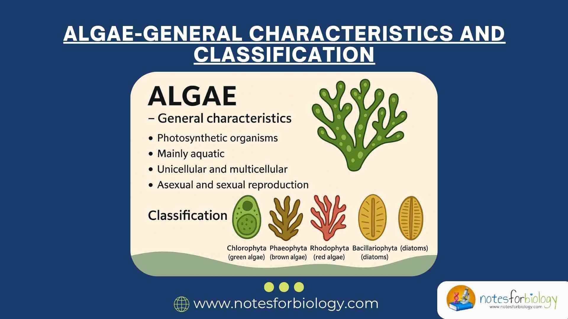 Algae-General characteristics and Classification Best Notes