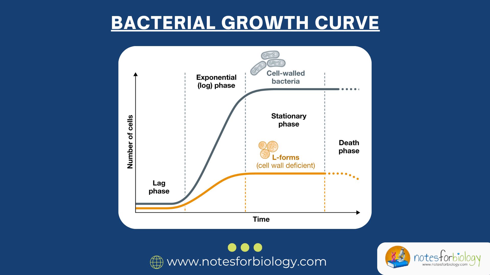 Bacterial Growth Curve - Best Biology Notes, Reference,...