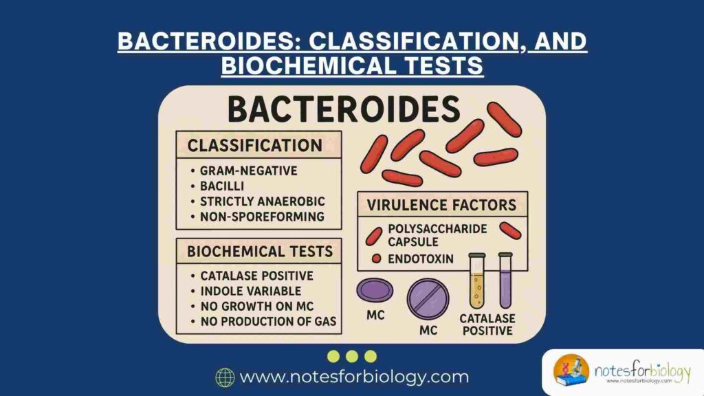 Entner-Doudoroff (ED) pathway - Best Biology Notes