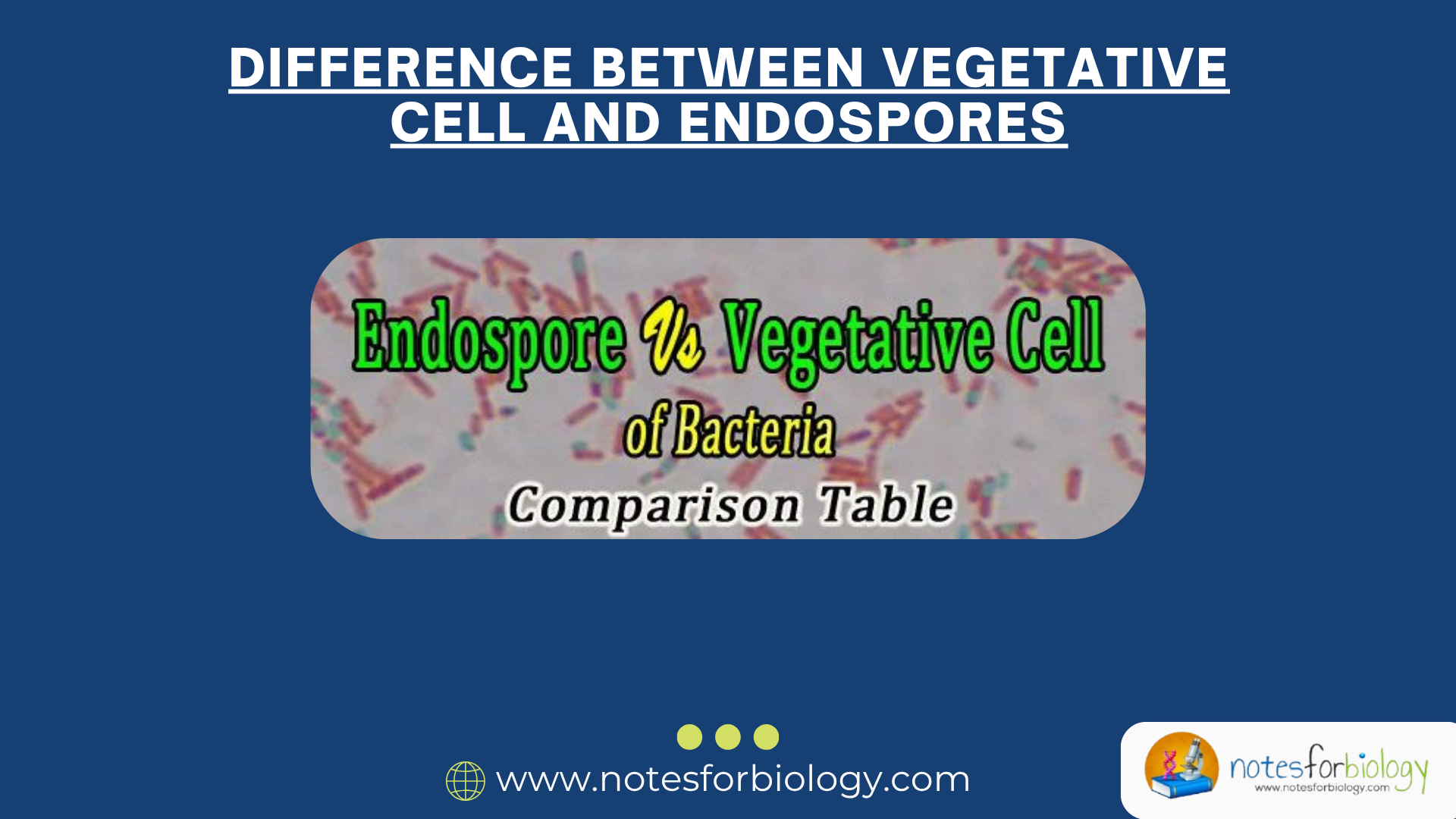 Vegetative cell and Endospore difference between - Best Bio.