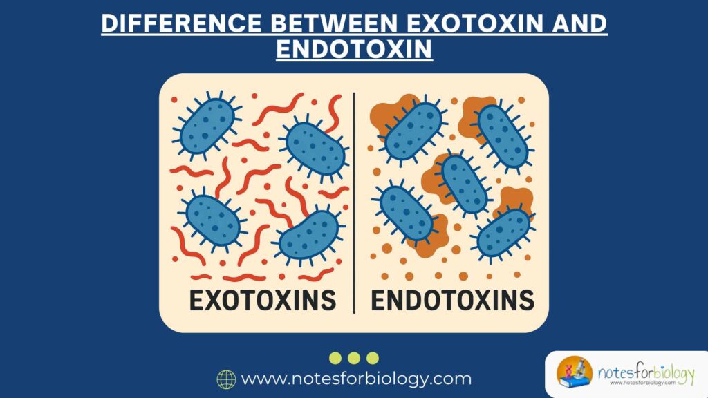 Exotoxin and Endotoxin Difference between - Best Biology