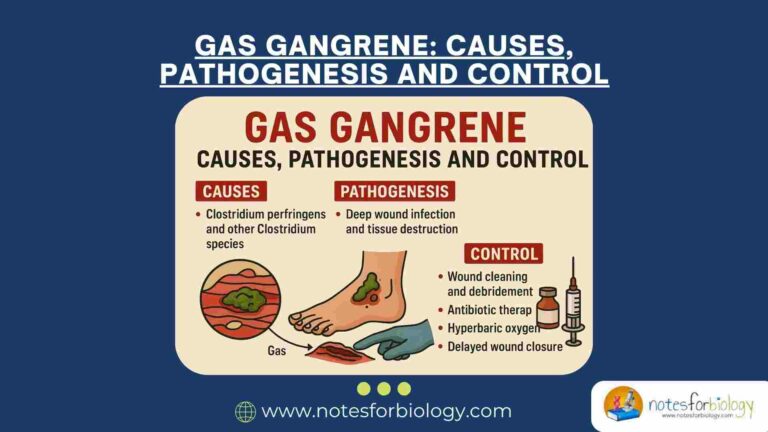 Gas Gangrene: Causes, Pathogenesis and Control Best Notes
